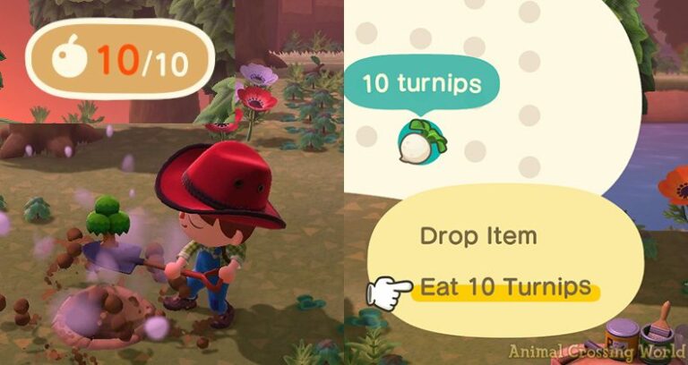 Turnips on Animal Crossing: How to Use Them Effectively